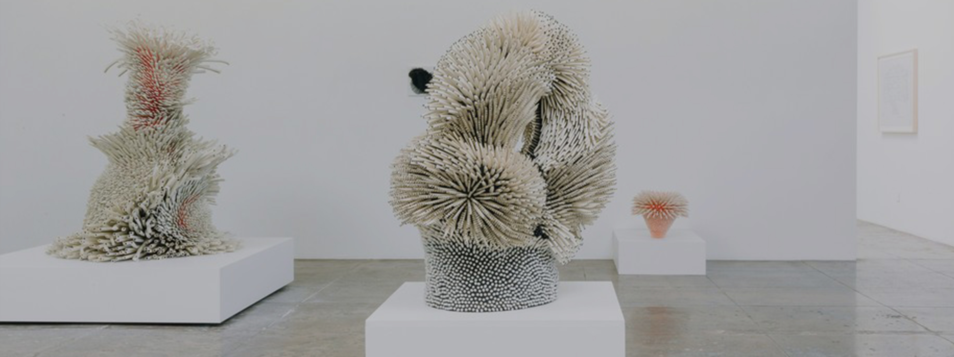 Success Story: Mark Moore Fine Art